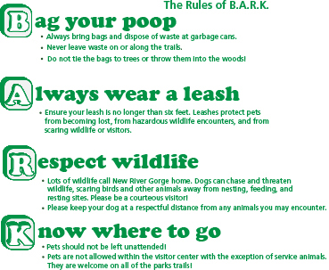 Bark Ranger - New River Gorge National Park & Preserve (U.S. National ...