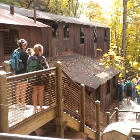 Nuttallburg Trails - New River Gorge National River (U.S. National Park ...