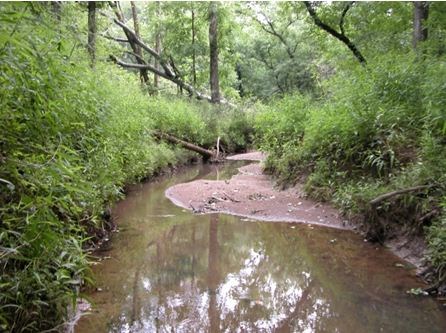 Fish - Ninety Six National Historic Site (U.S. National Park Service)