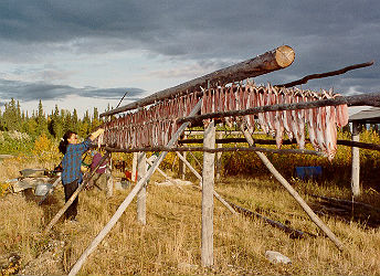 Subsistence Practices in Noatak National Preserve - Noatak National ...