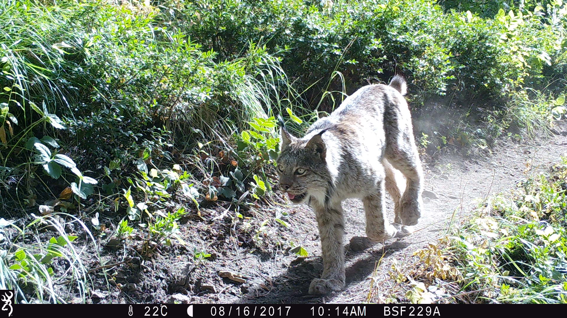 Research - North Cascades National Park (U.S. National Park Service)