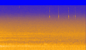Acoustic Monitoring Site: Rainbow Loop Trail - North Cascades National ...