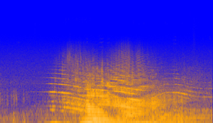 Acoustic Monitoring Site: Rainbow Loop Trail - North Cascades National ...