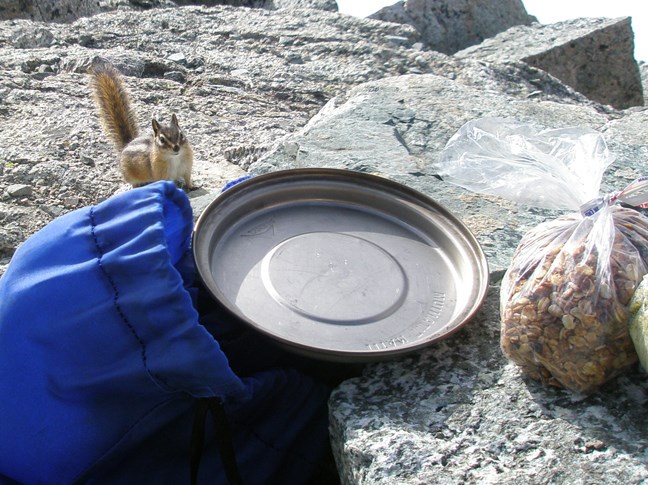 Food Storage Requirements - North Cascades National Park (U.S. National ...