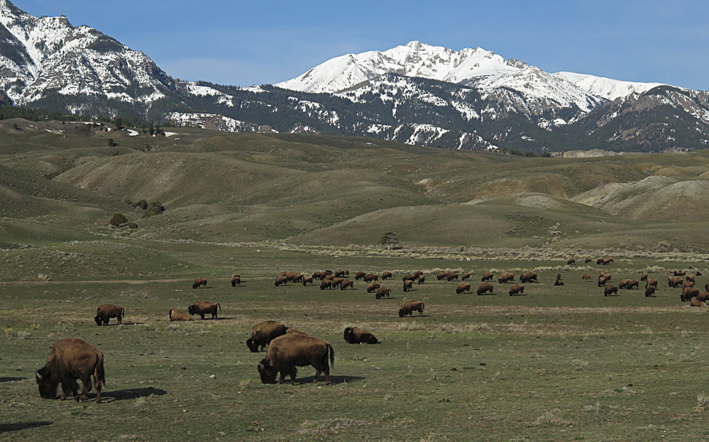 Photo (U.S. National Park Service)