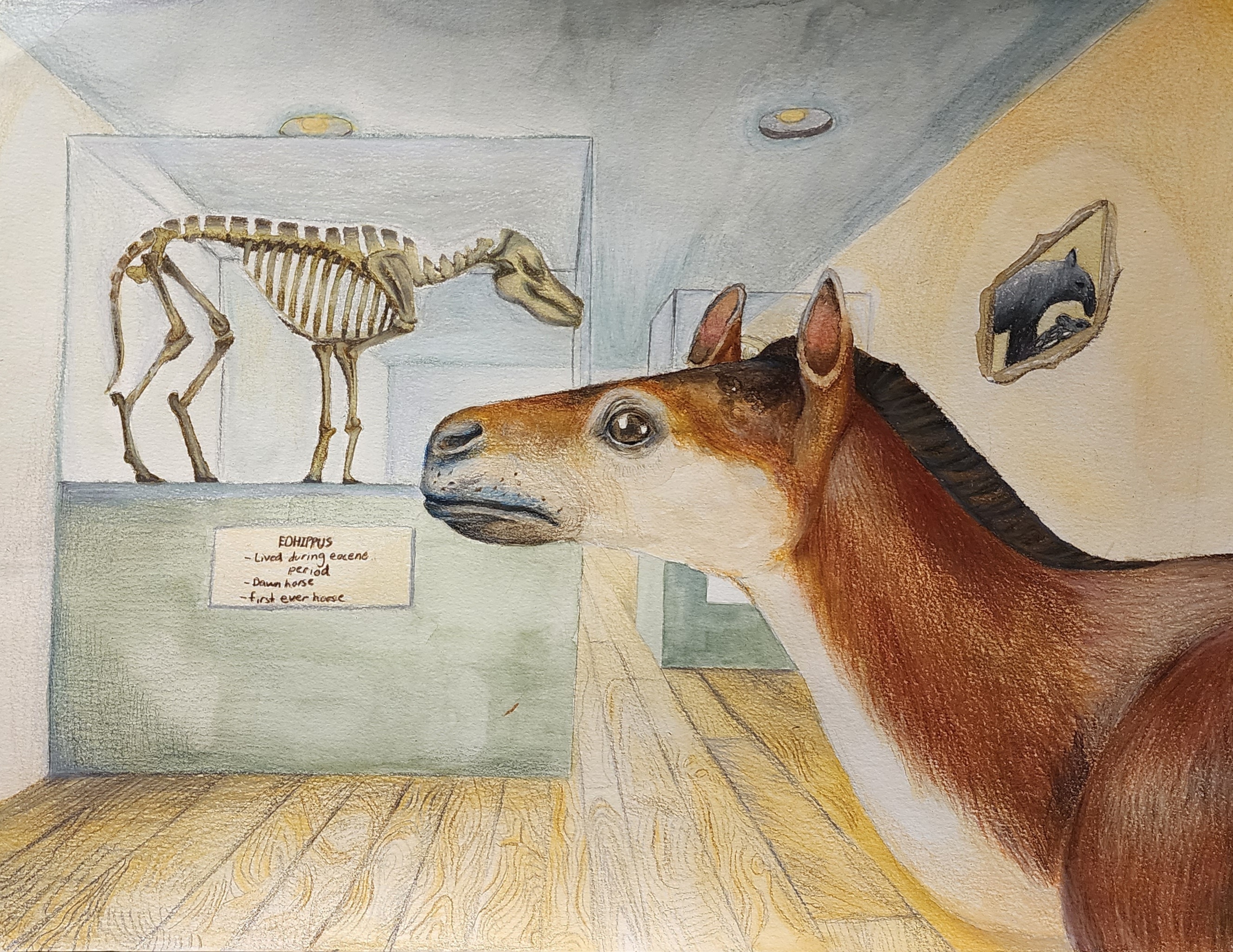 Prehistoric Horse Skeleton