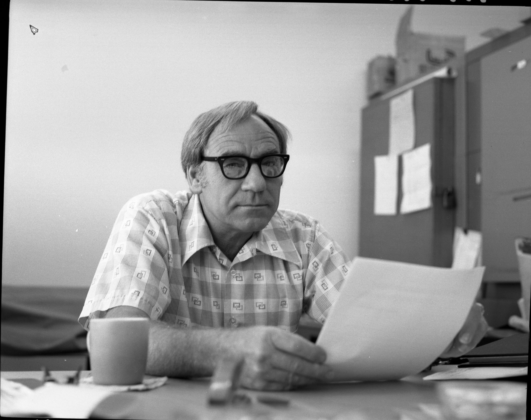 NPGallery Asset Detail