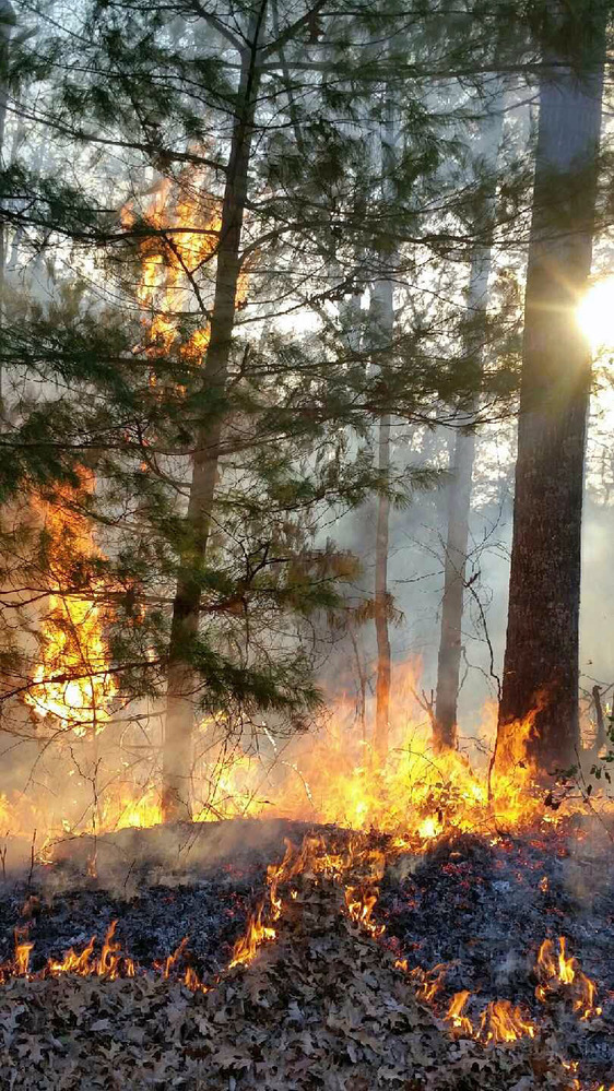 Man Made Disaster Fire