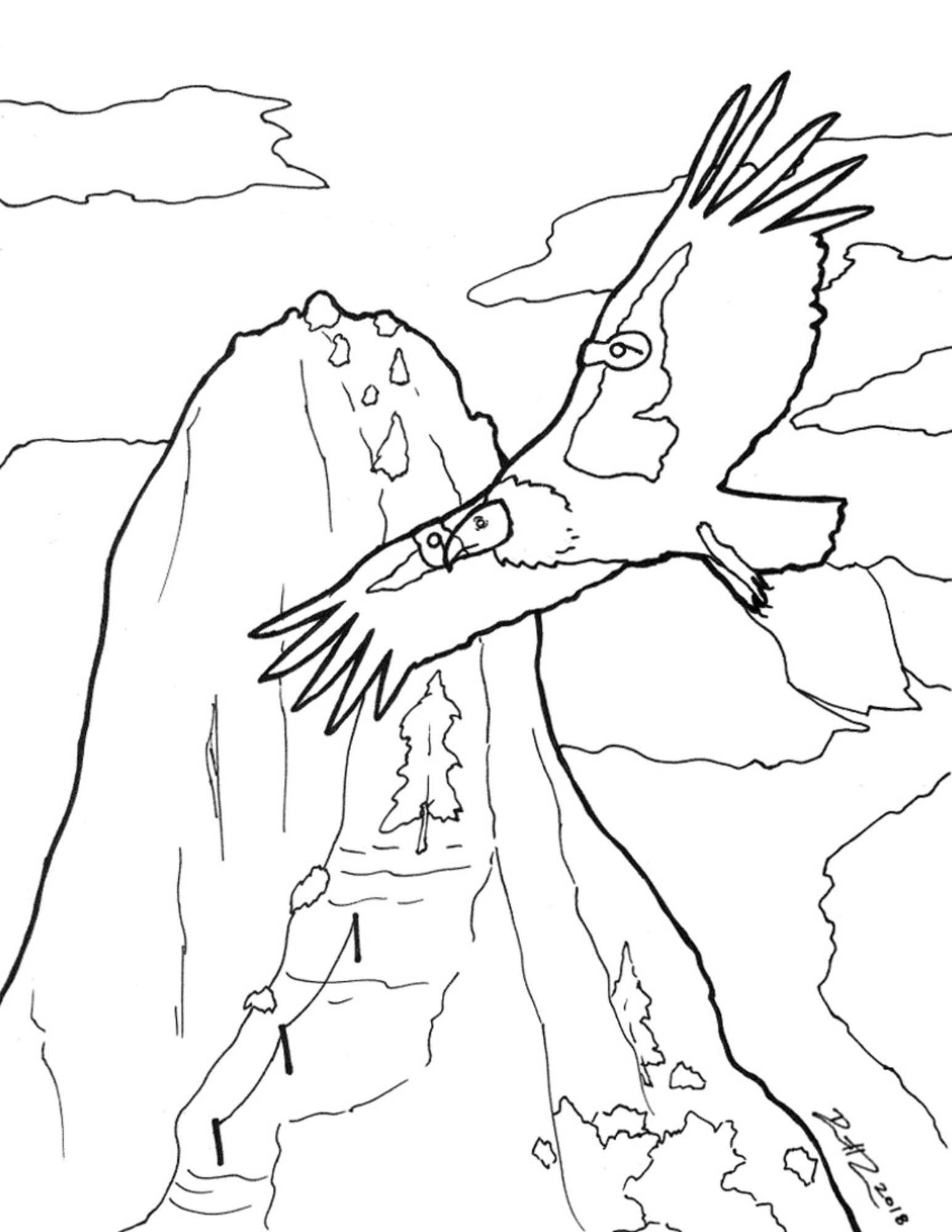 Coloring Pages Condor