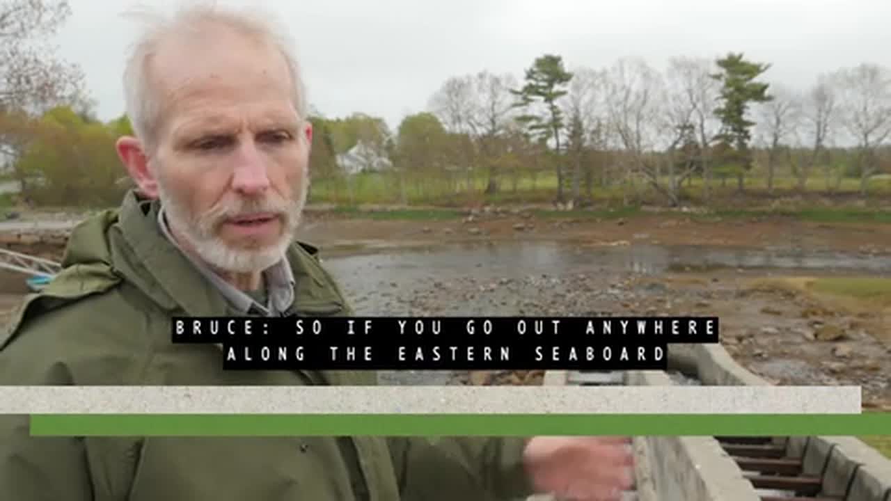 Video (U.S. National Park Service)
