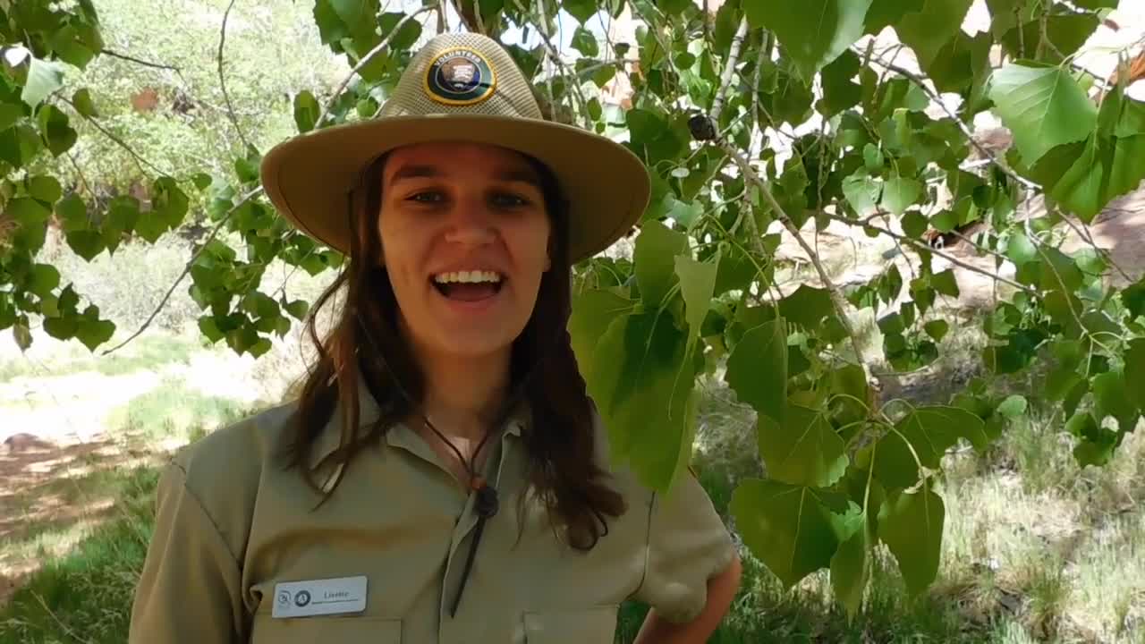 Video (U.S. National Park Service)