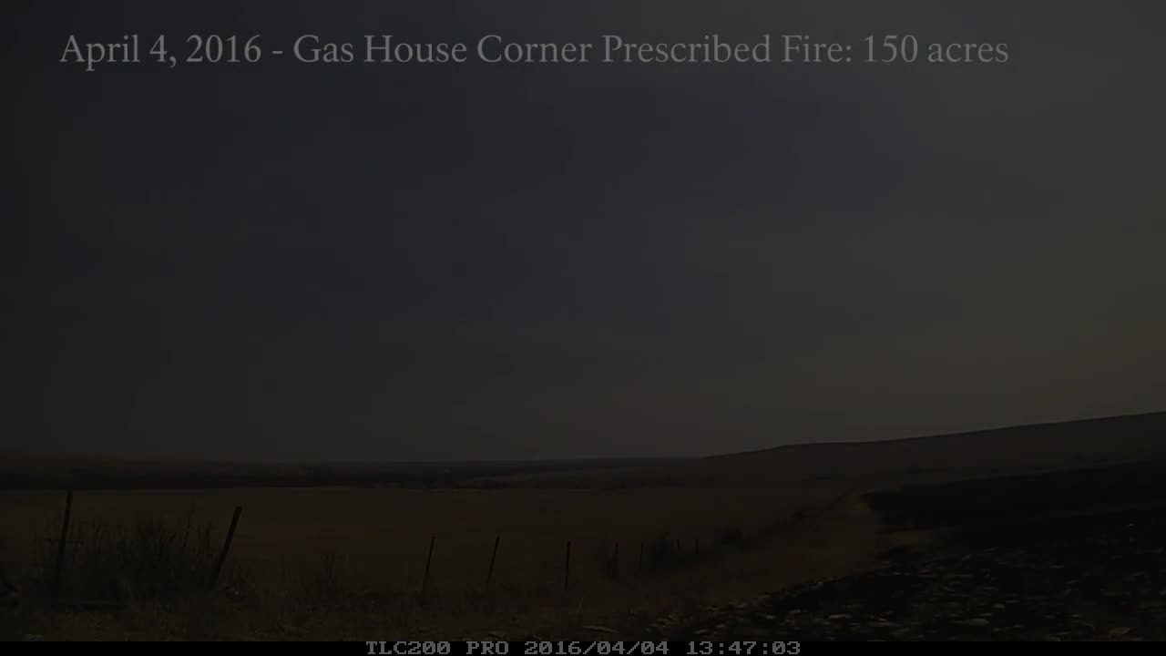 Video (U.S. National Park Service)