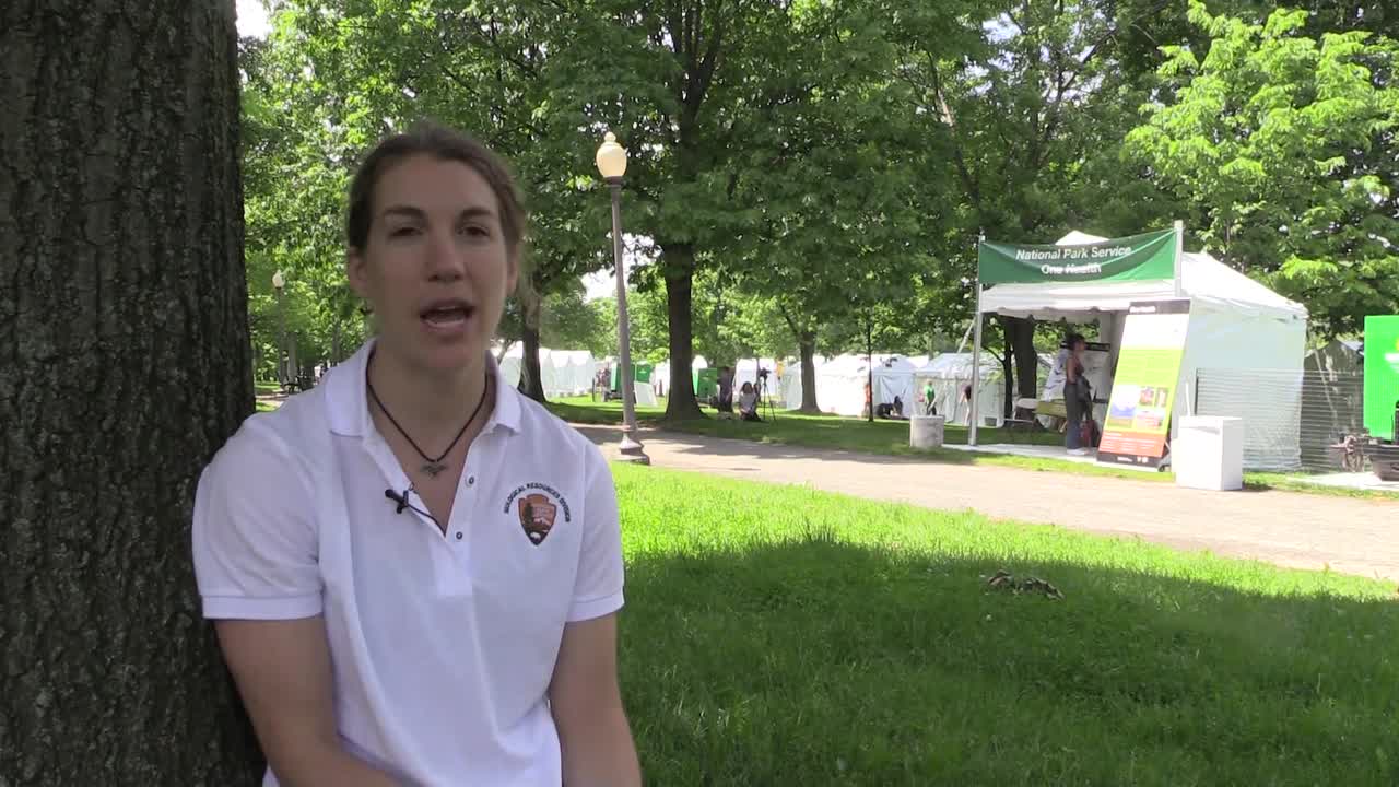 Video (U.S. National Park Service)