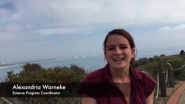 Video (U.S. National Park Service)