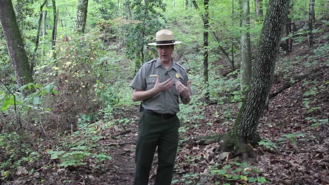 Video (U.S. National Park Service)