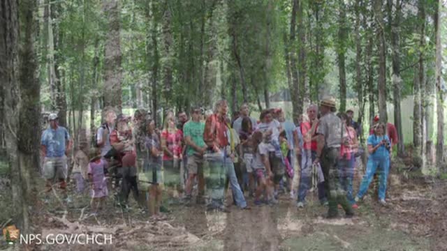 Video (U.S. National Park Service)