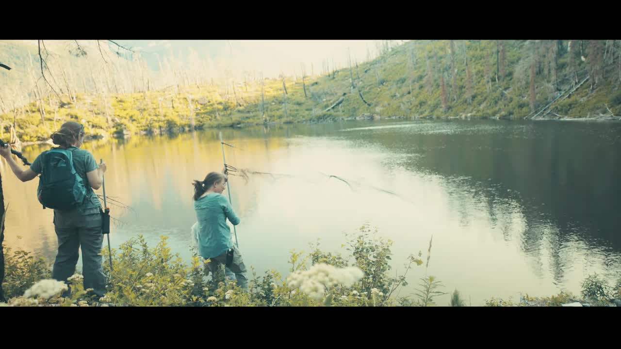Video (U.S. National Park Service)