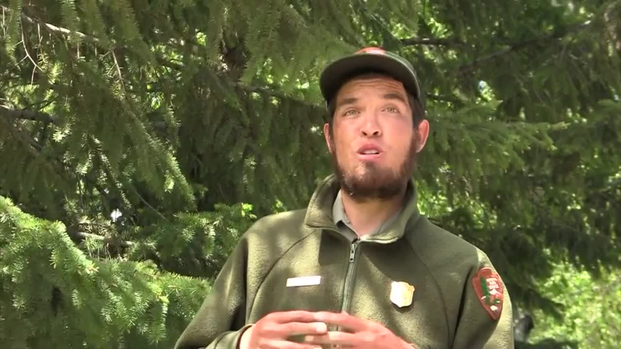 Video (U.S. National Park Service)
