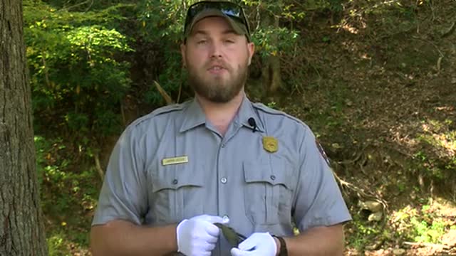 Video (U.S. National Park Service)