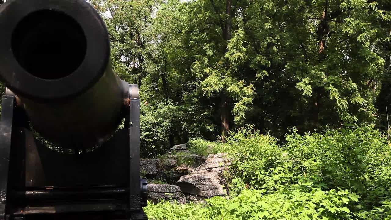 Video (U.S. National Park Service)