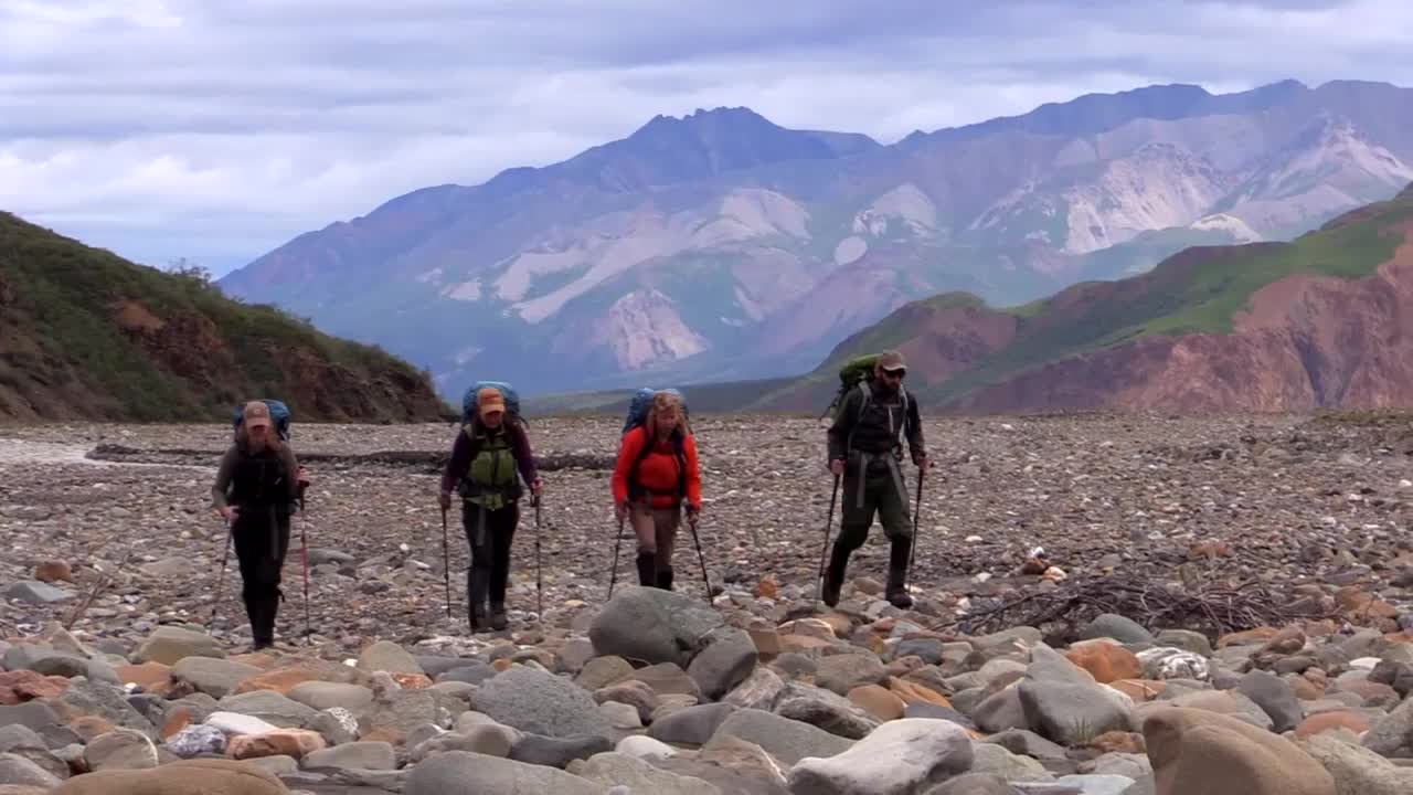 Hiking In Denali National Park Denali Guidebook | atelier-yuwa.ciao.jp