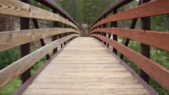 Video (U.S. National Park Service)