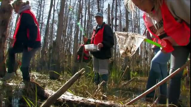 Video (U.S. National Park Service)