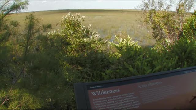 Video (U.S. National Park Service)