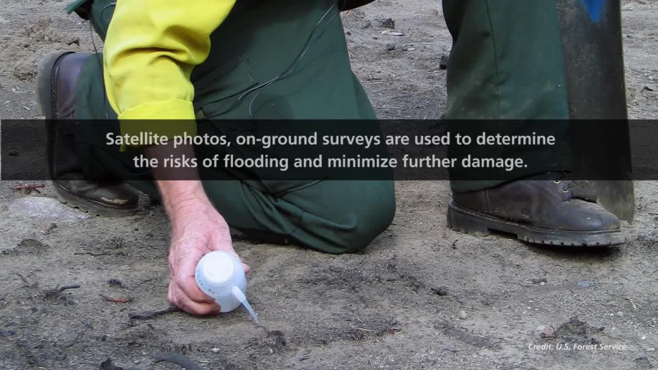 Video (U.S. National Park Service)