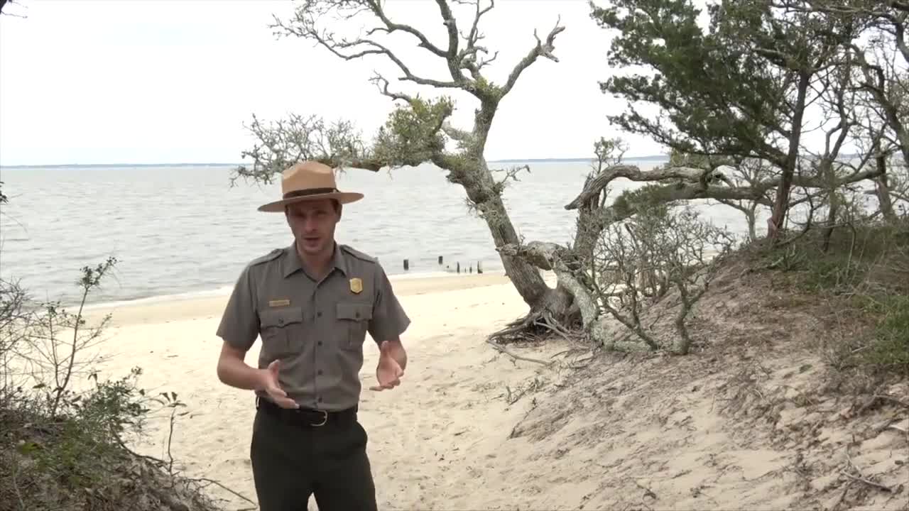 Video (U.S. National Park Service)