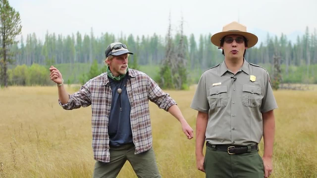 Video (U.S. National Park Service)