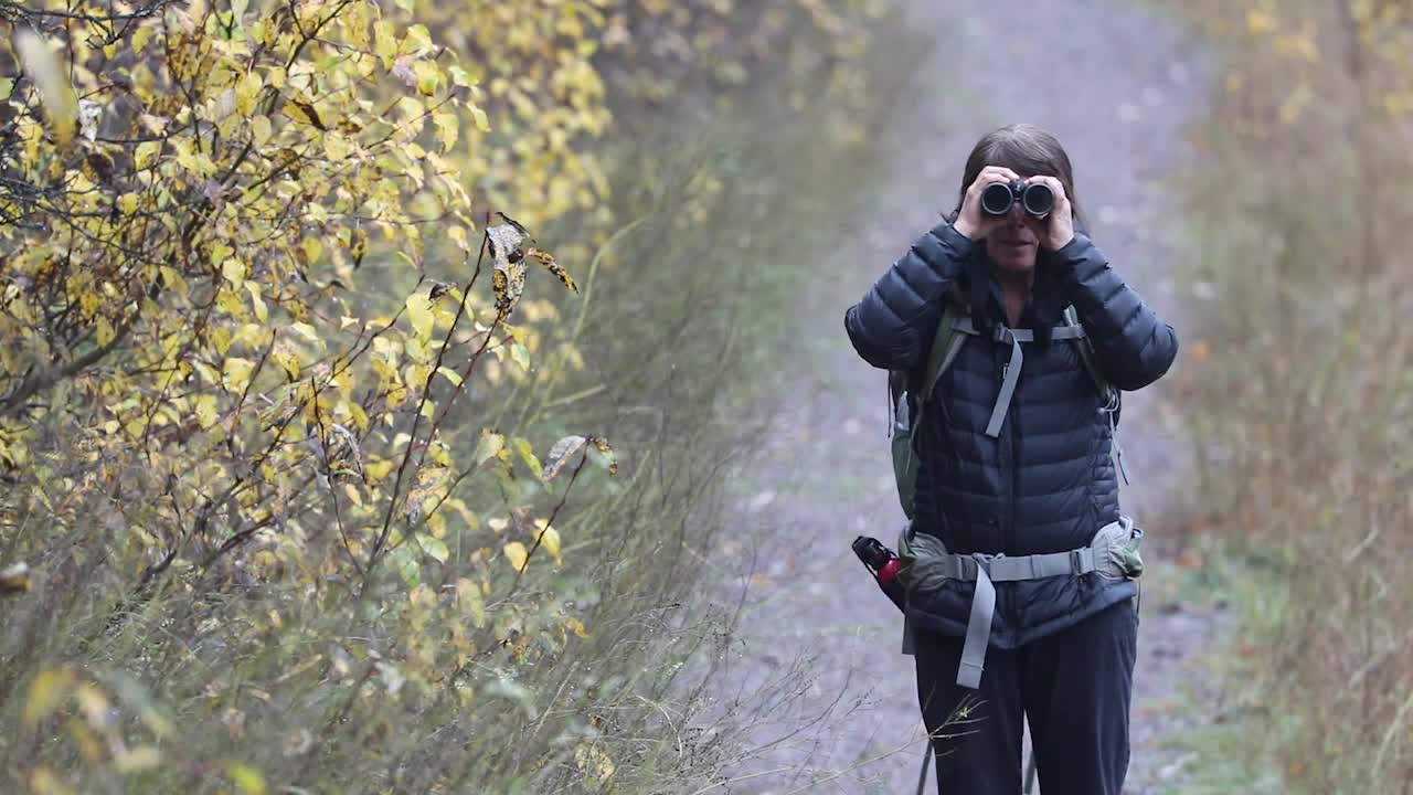 Video (U.S. National Park Service)