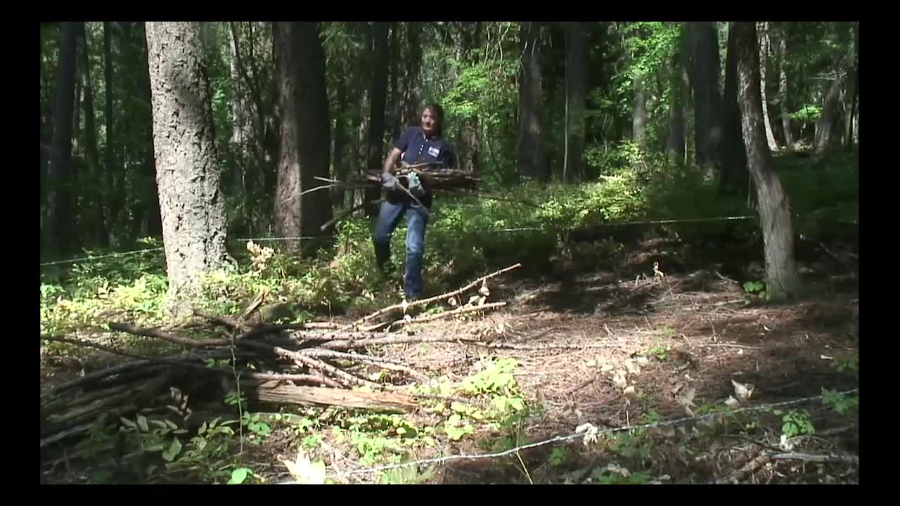 Video (U.S. National Park Service)