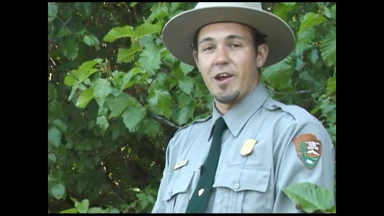 Video (U.S. National Park Service)