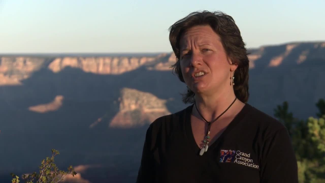 Video (U.S. National Park Service)