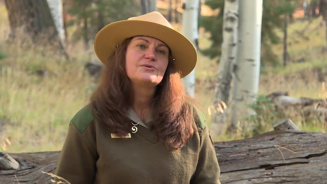 Video (U.S. National Park Service)