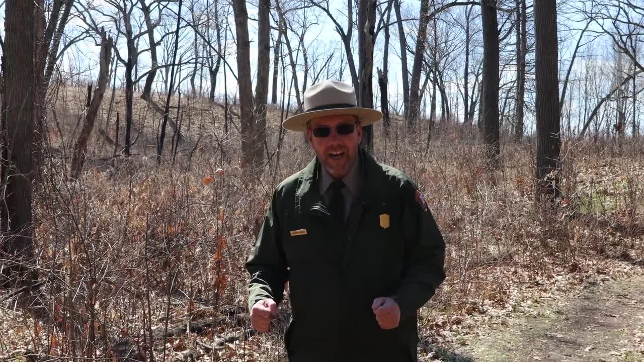 Video (U.S. National Park Service)