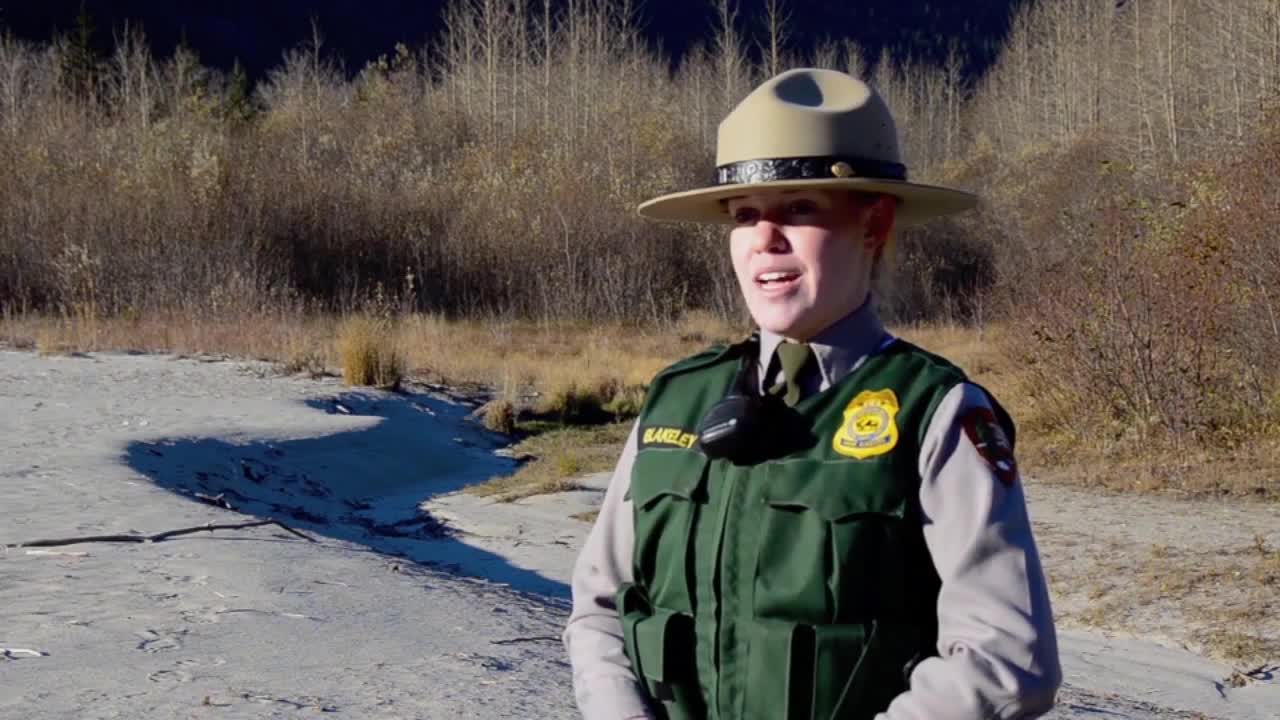 Video (U.S. National Park Service)