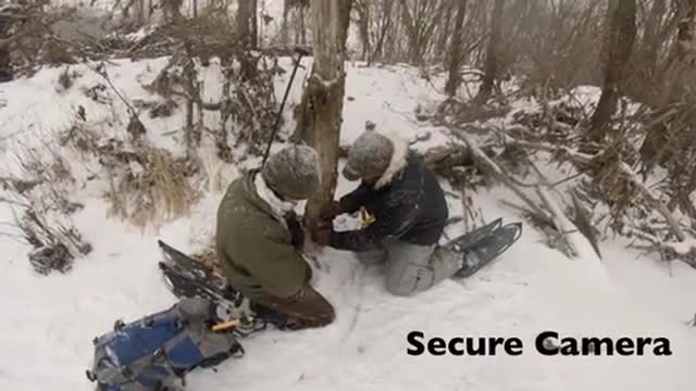 Video (U.S. National Park Service)