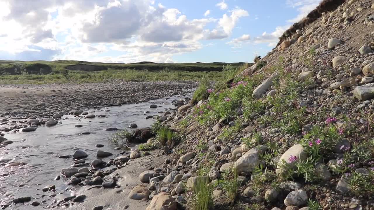 Video (U.S. National Park Service)