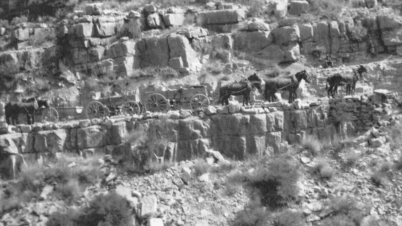 Video (U.S. National Park Service)