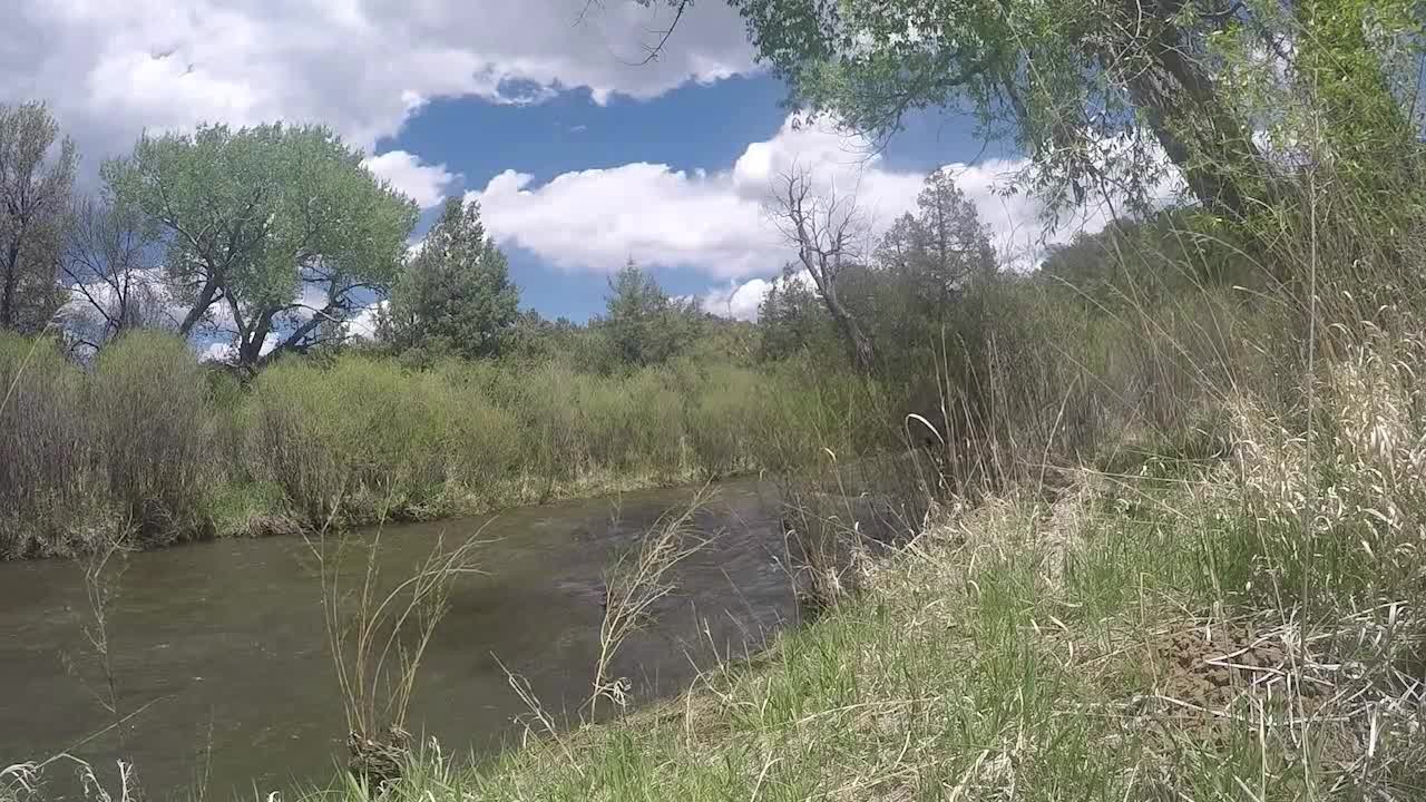 Video (U.S. National Park Service)