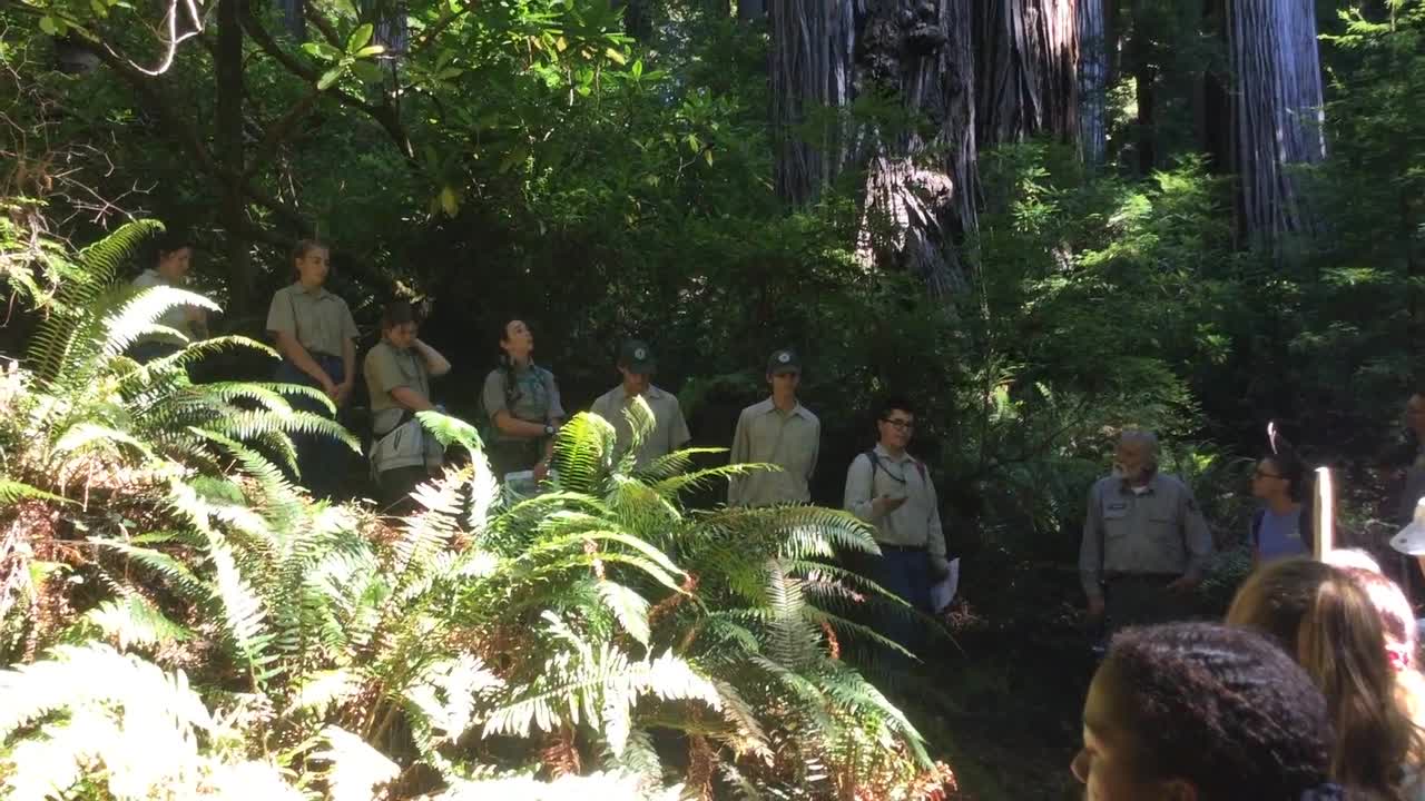 Video (U.S. National Park Service)