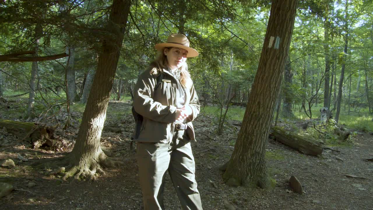 Video (U.S. National Park Service)