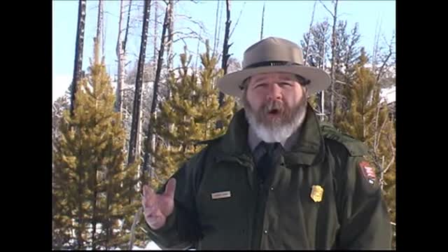 Video (U.S. National Park Service)