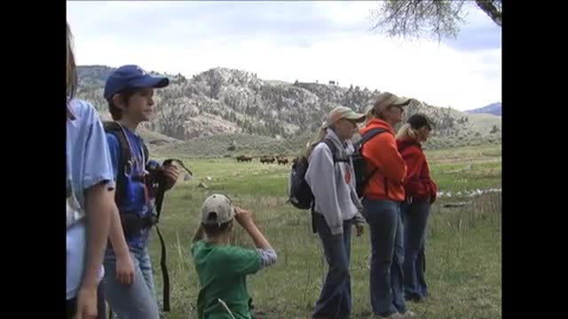 Video (U.S. National Park Service)