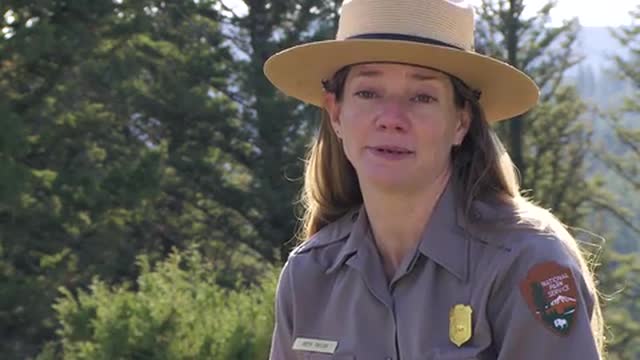 Video (U.S. National Park Service)