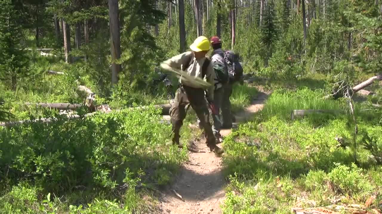 Video (U.S. National Park Service)