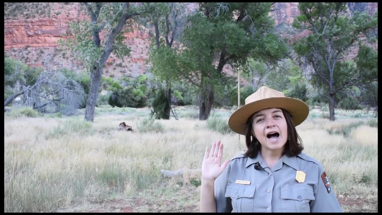 Video (U.S. National Park Service)