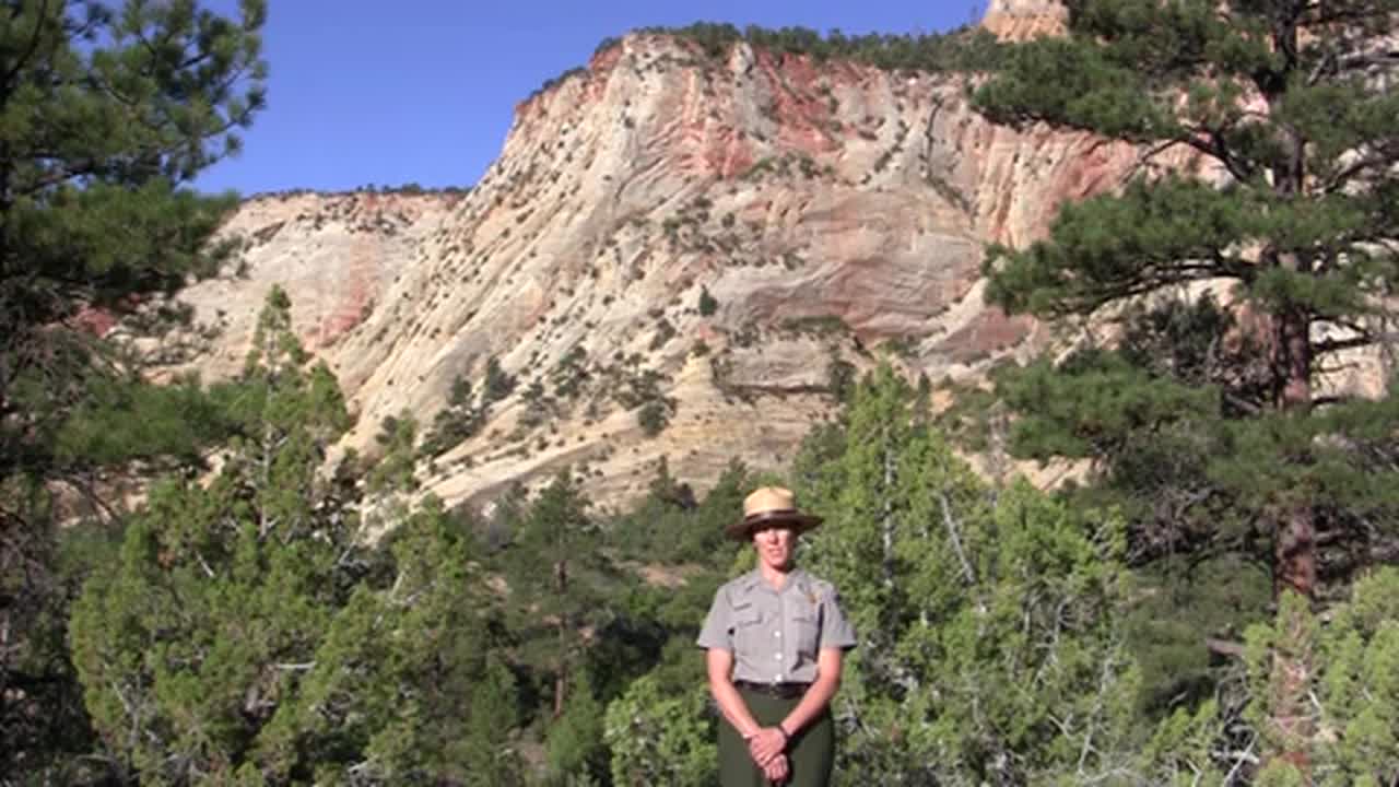 Video (U.S. National Park Service)